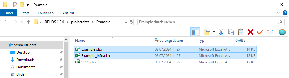 Example Workflow – BEHDS